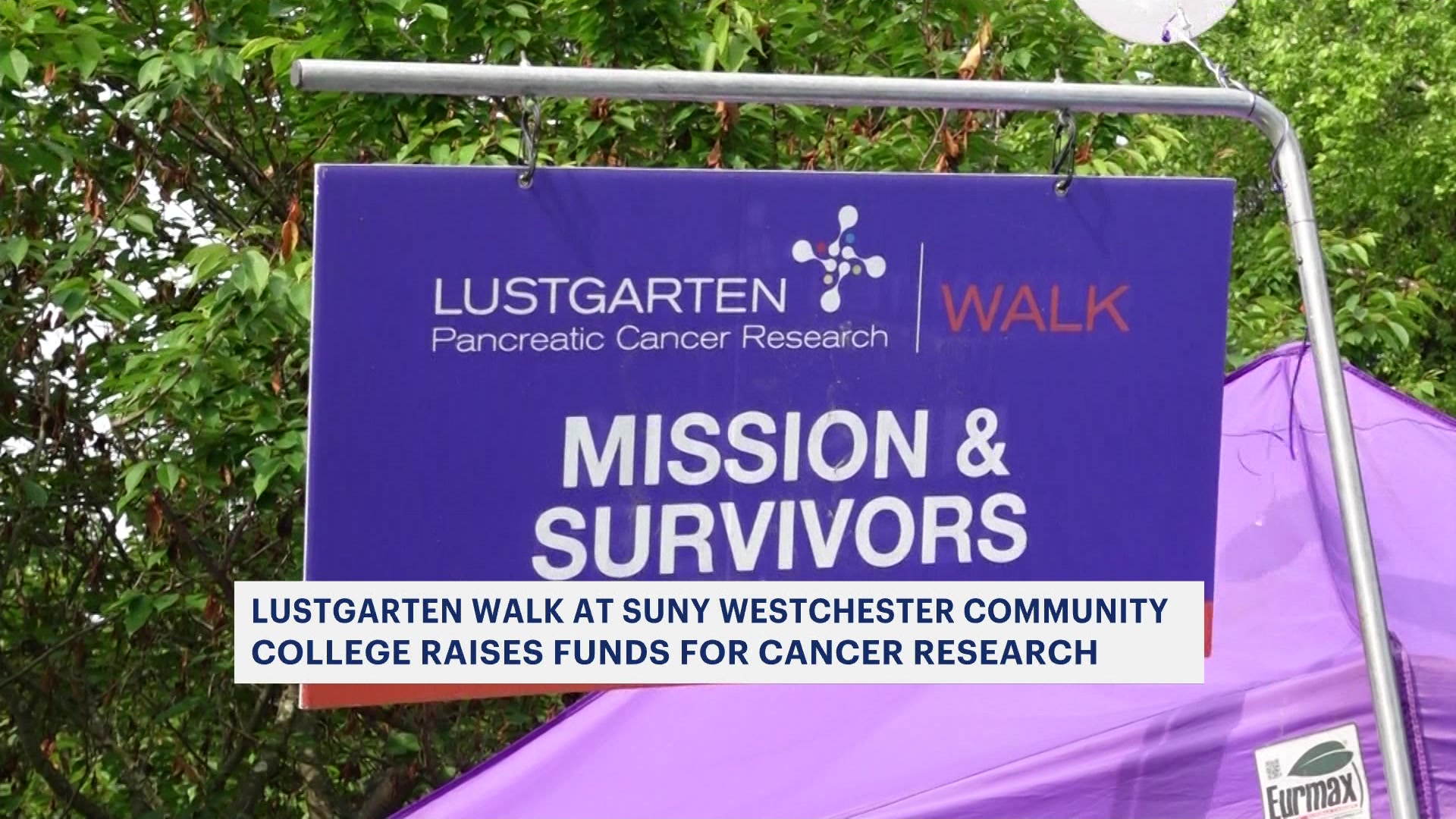 News 12 | Long Island | Westchester Lustgarten Pancreatic Research Walk ...