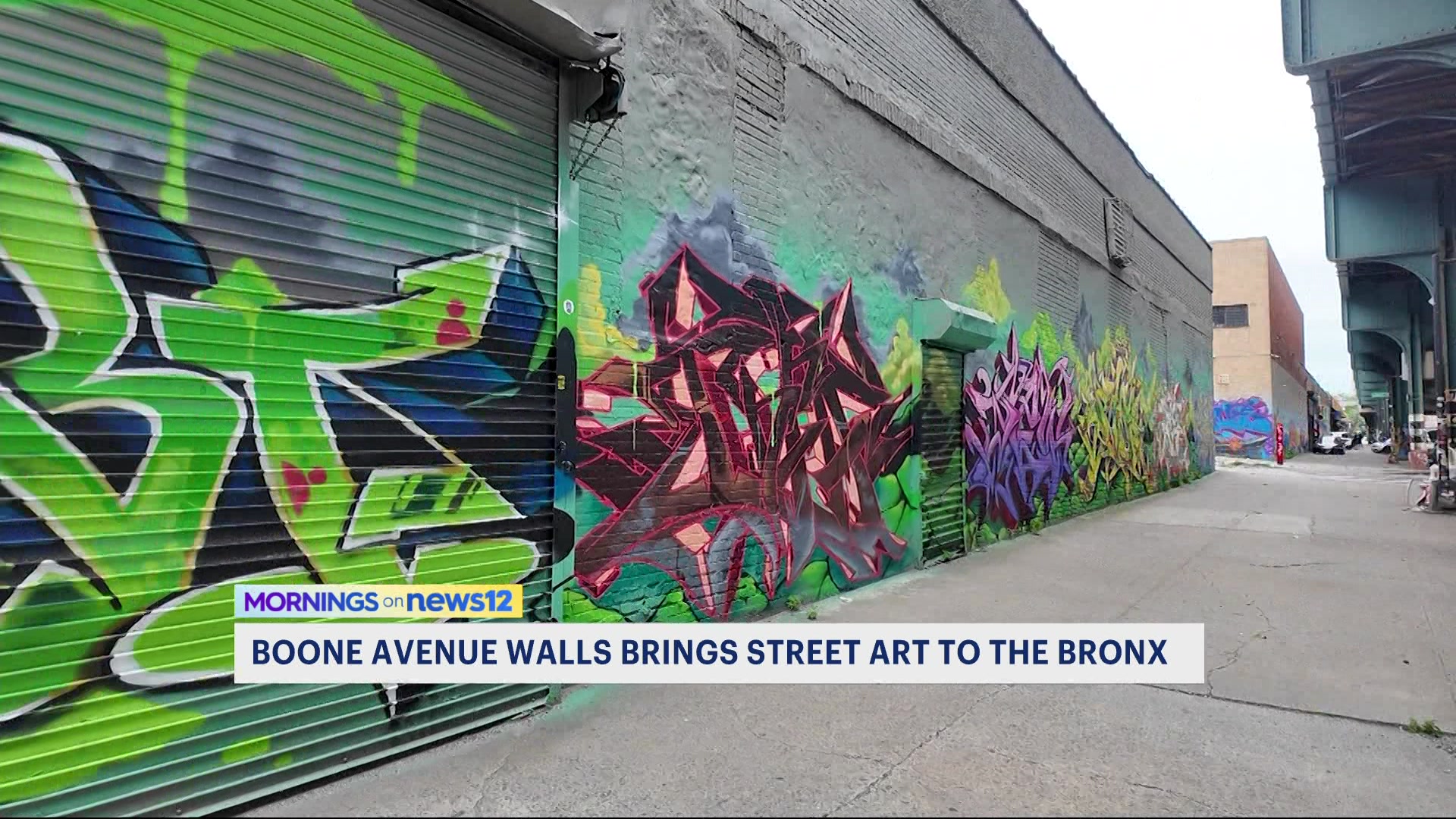 News 12 | Long Island | Boone Avenue Walls lights up the Bronx through art