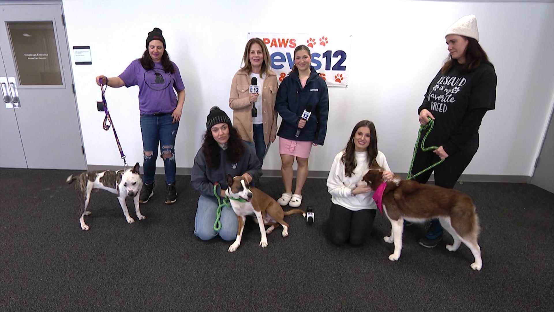 Paws & Pals: These 3 pups are up for adoption at Almost Home Animal ...