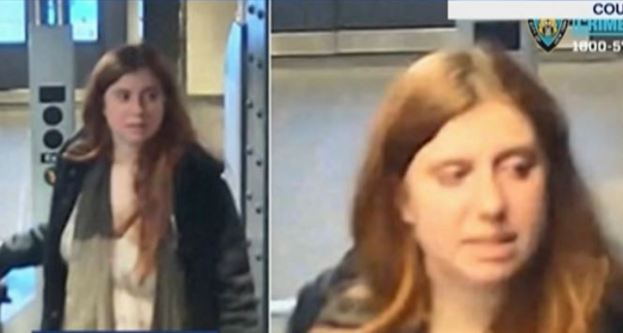 News 12 | Brooklyn | Port Jefferson Woman Accused In Fatal Nyc Push ...
