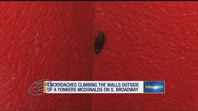Cockroaches caught on camera outside Yonkers McDonald’s