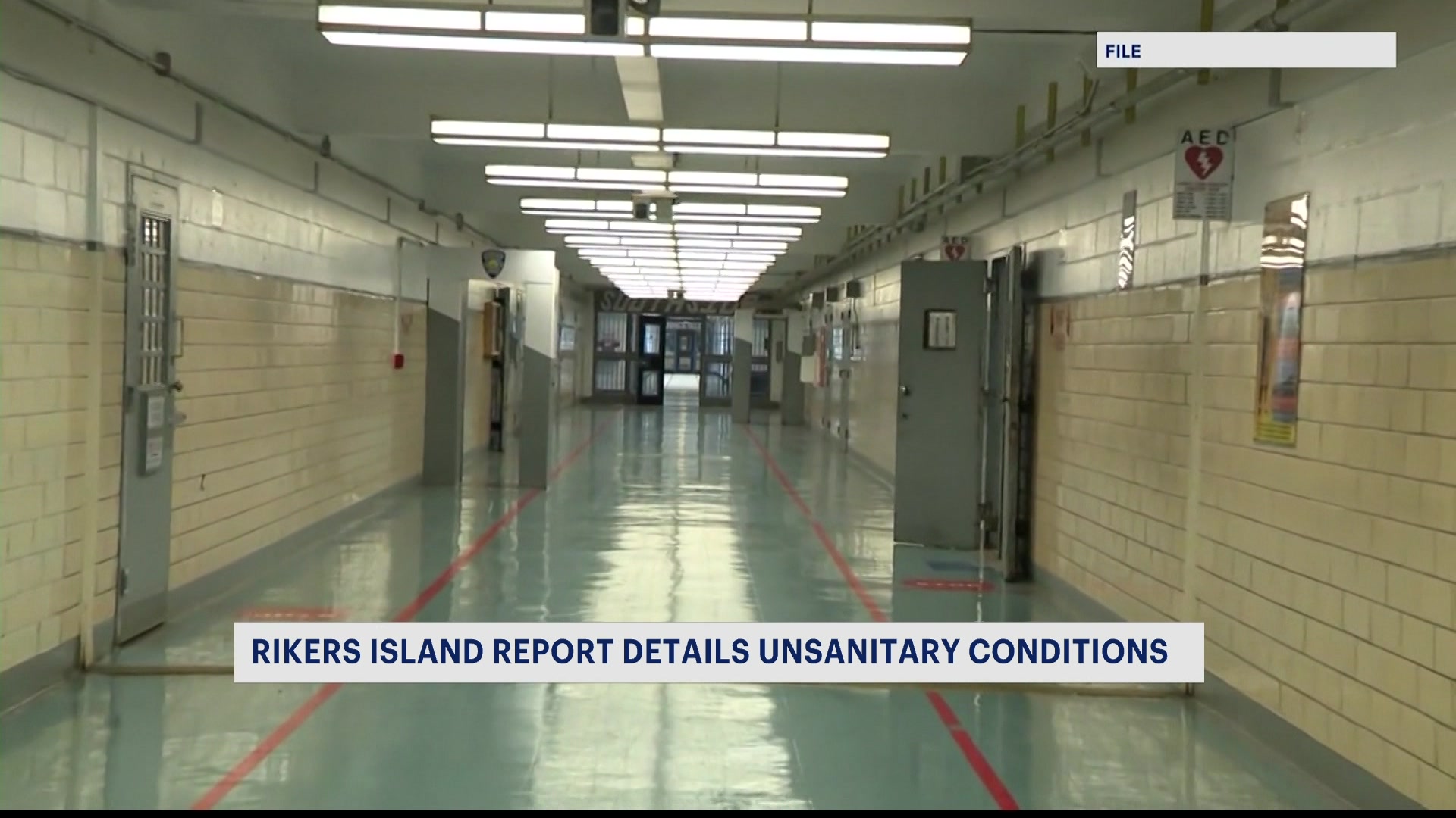 Report: Vermin infestation and unsanitary conditions inside Rikers Island