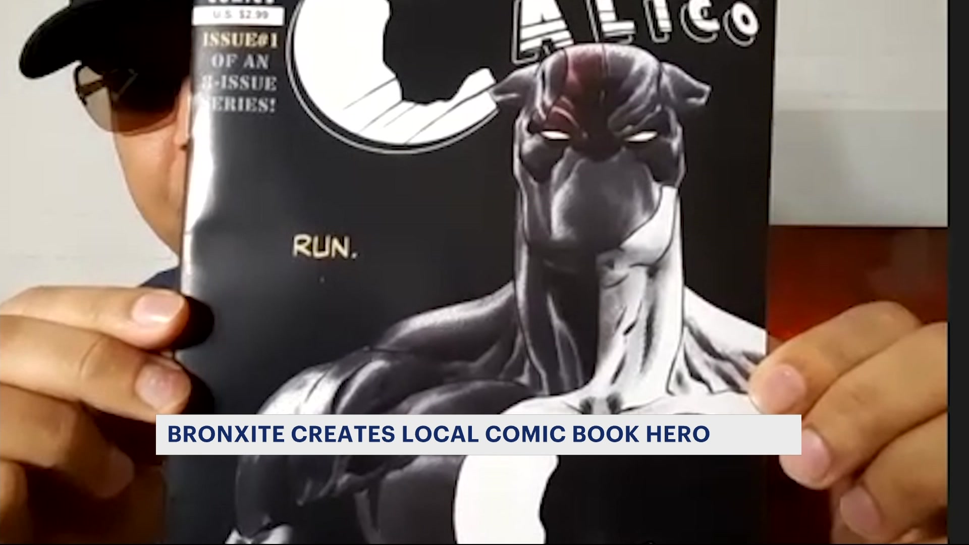 ‘Here Comes Calico’ comic series puts animal abusers on notice