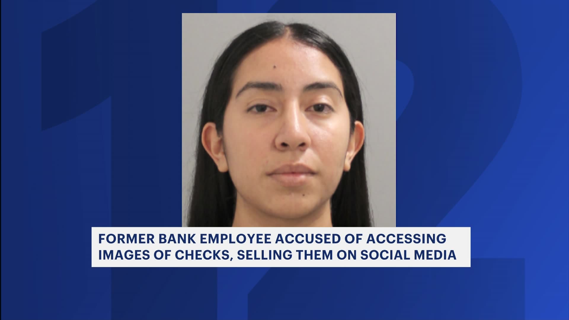 Nassau police arrest woman for stealing from Jericho bank Nassau police arrest woman for stealing from Jericho bank