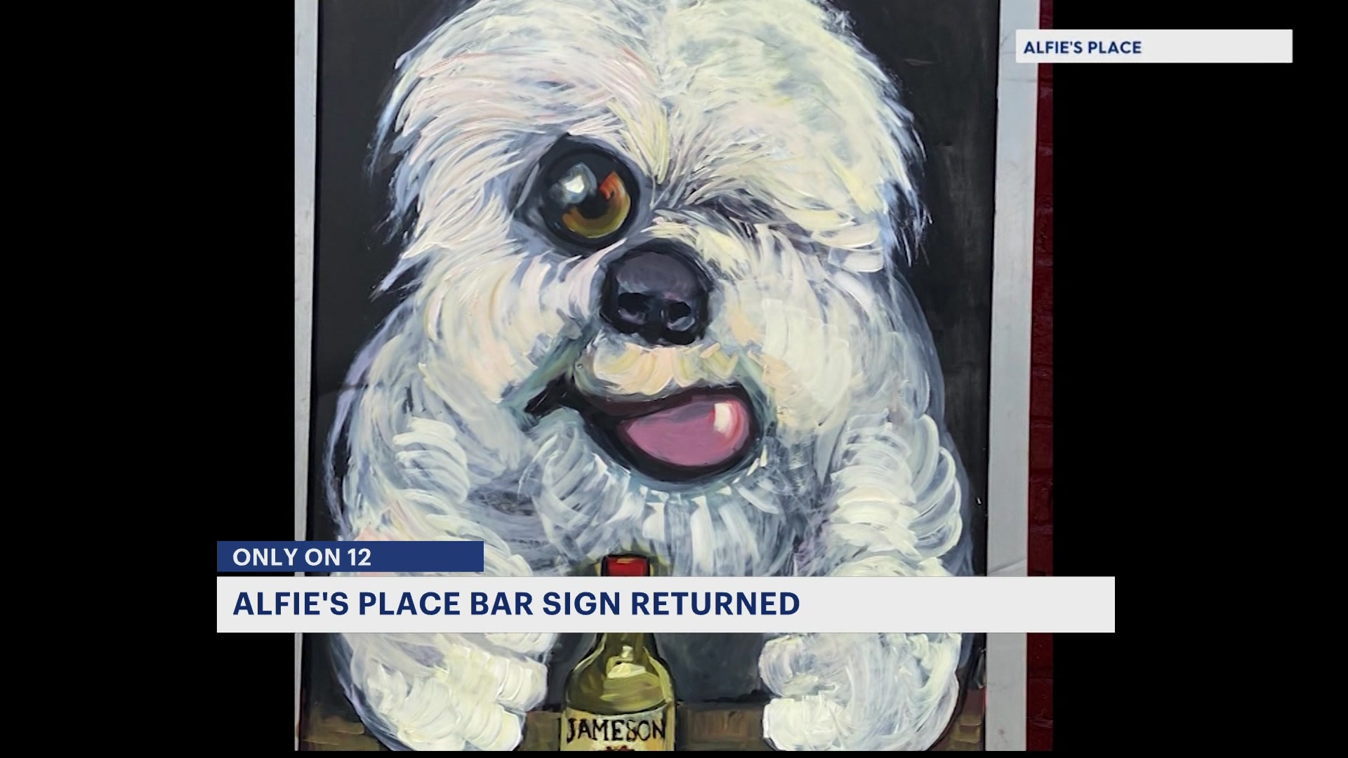 News 12 | Bronx | Stolen Mascot Portrait Returned To Alfies Place In ...