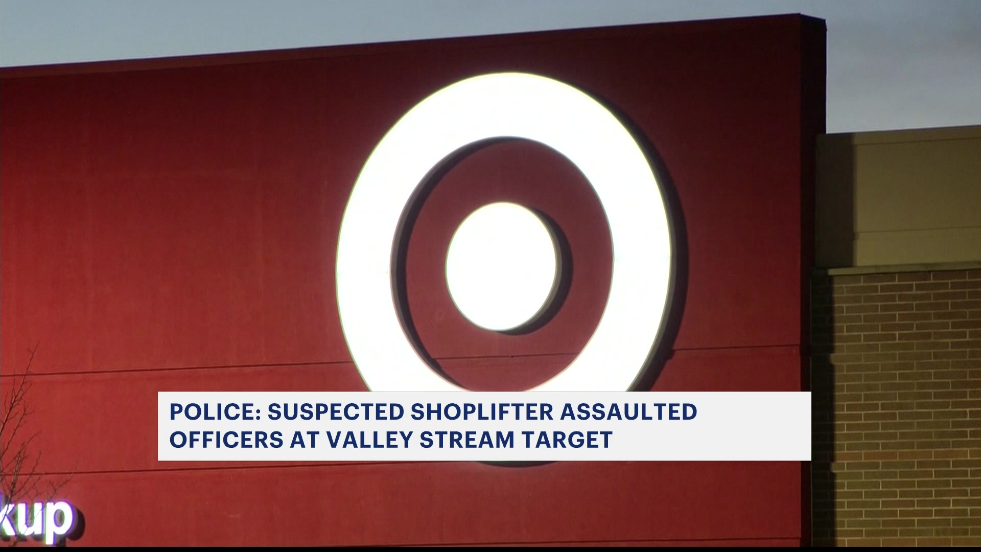 Police: Woman attempted to rob Valley Stream Target, assaulted ...