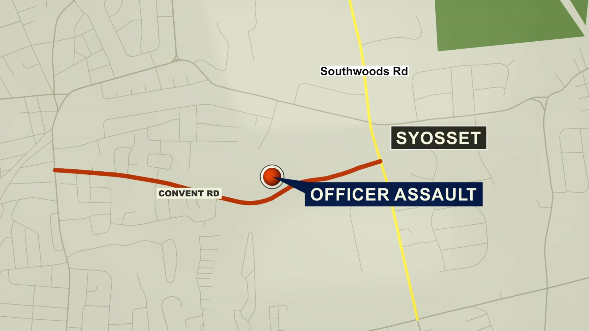 17-year-old facing charges for assaulting officer in Syosset