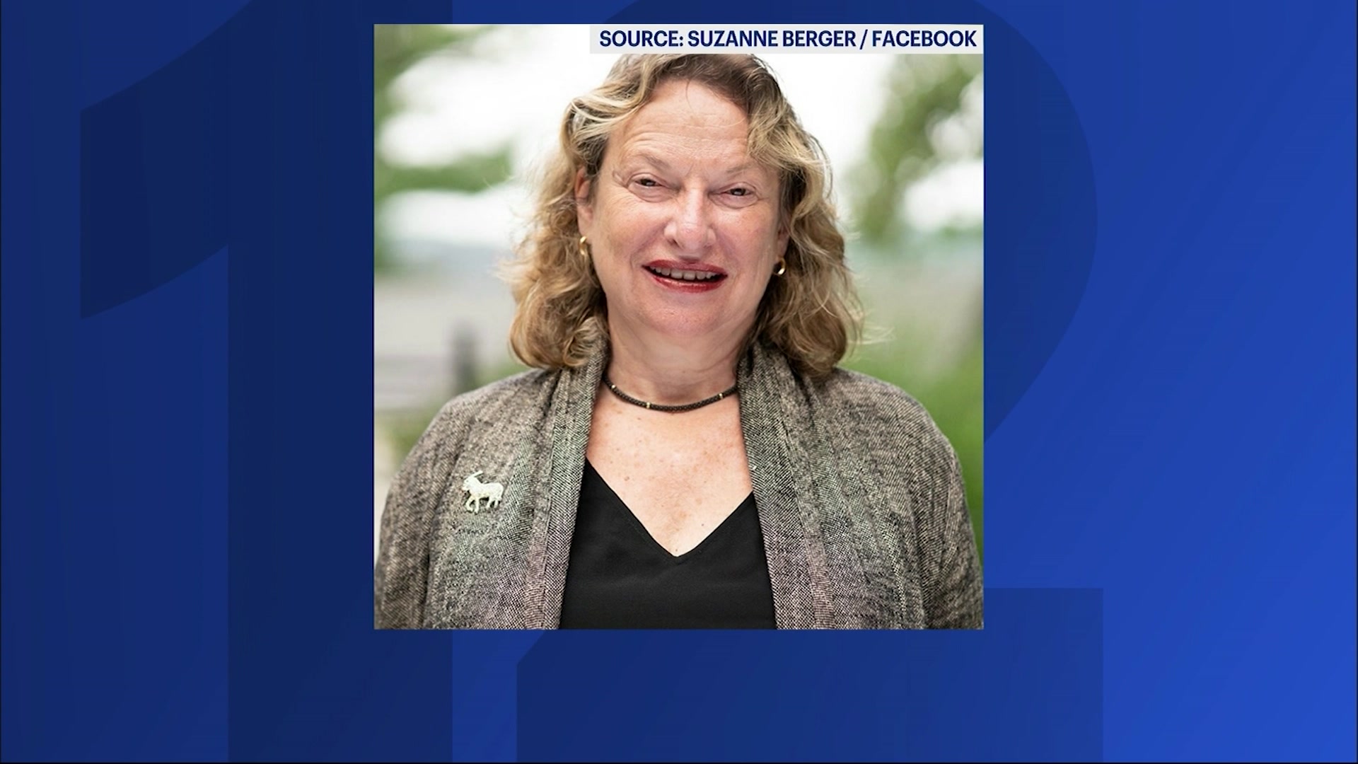 Suzanne Berger becomes 1st woman to serve as Westchester Democratic ...