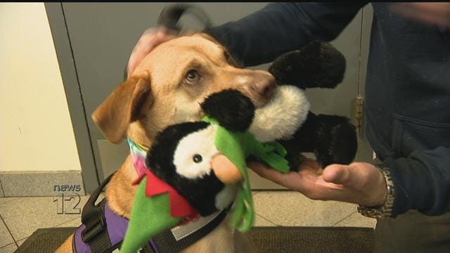 Dog Day Fridays for Jan. 31