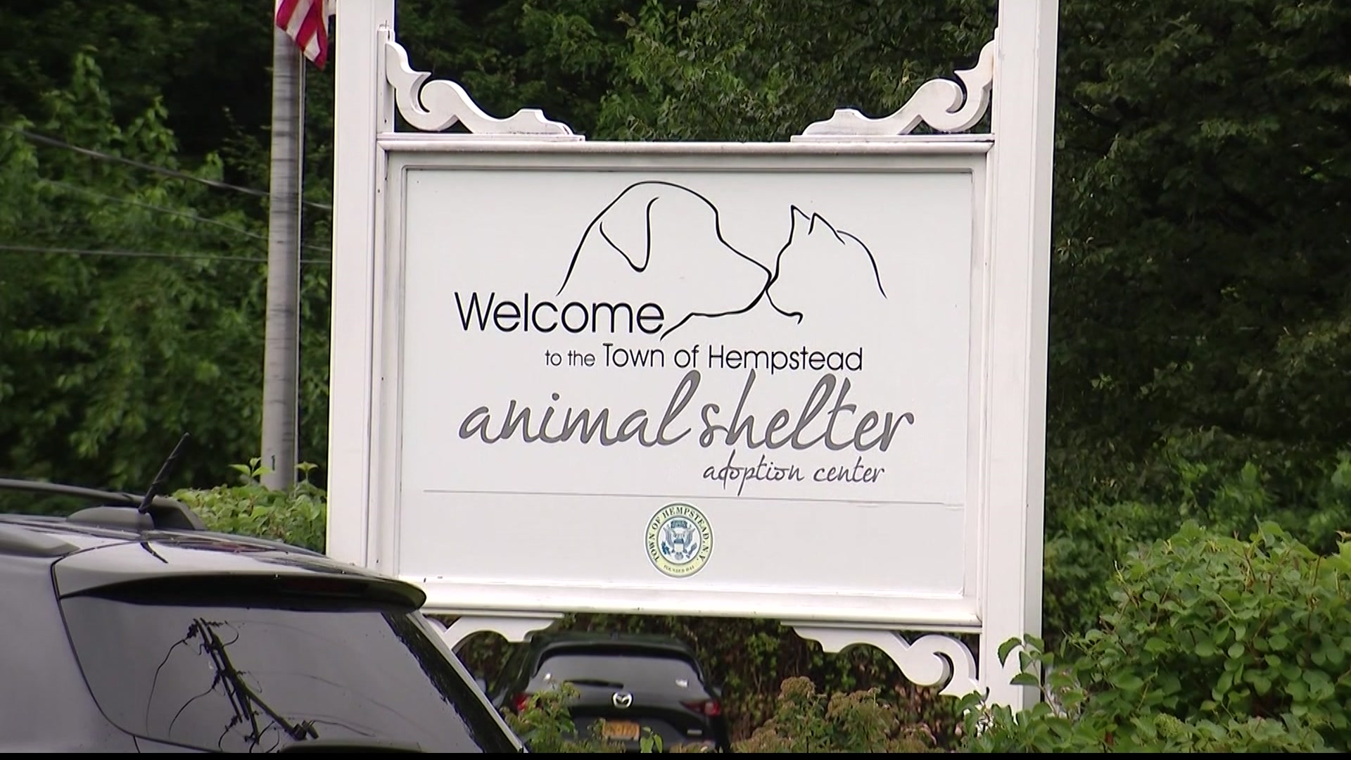 Town of Hempstead residents claim animal shelter trainer who resigned ...