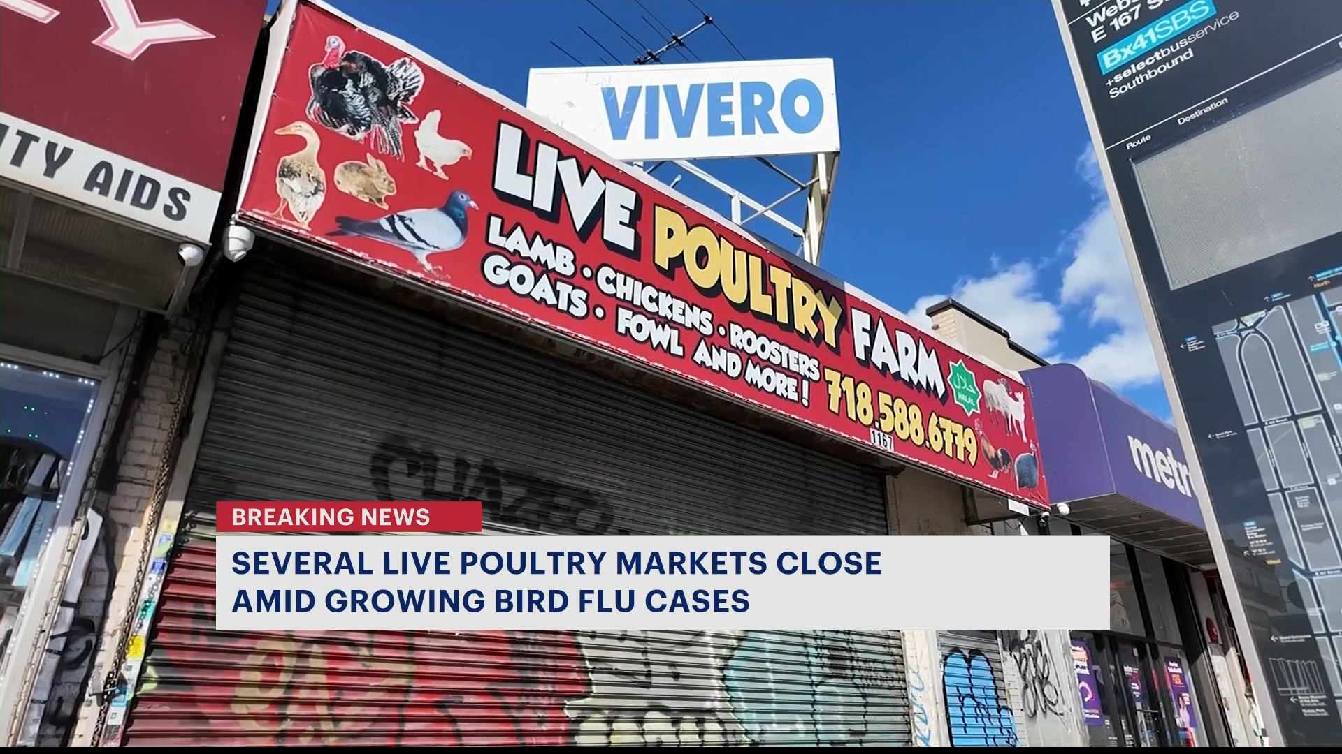Bronx's Vivero Live Poultry Farm closed amid temporary shutdown of NYC ...