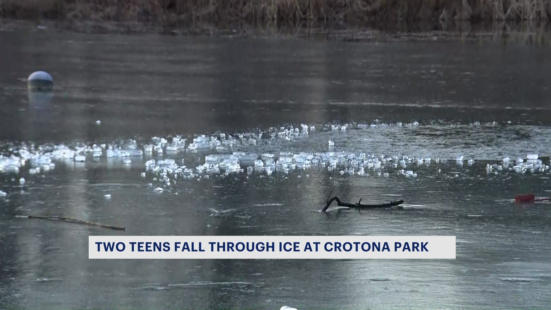 Teens rescued from icy lake in Crotona Park