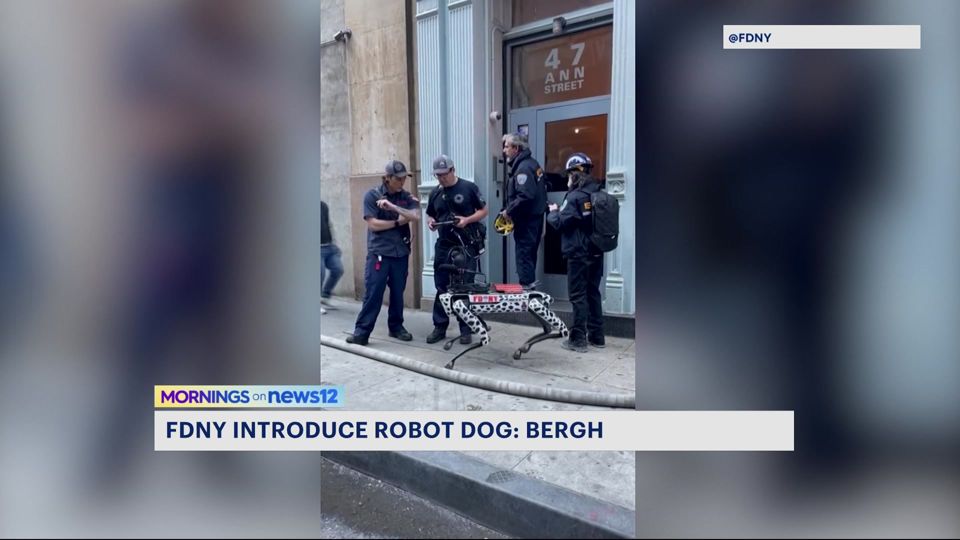 FDNY introduce new robot dog Bergh to assist in extremely dangerous calls