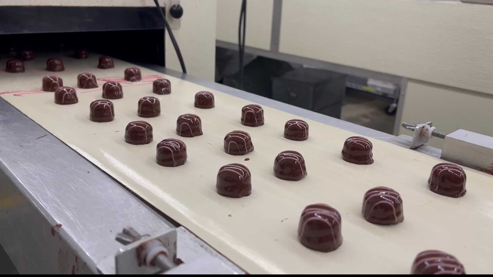 News 12 | Bronx | Li Lac Chocolates In Brooklyn Shows News 12 How The ...