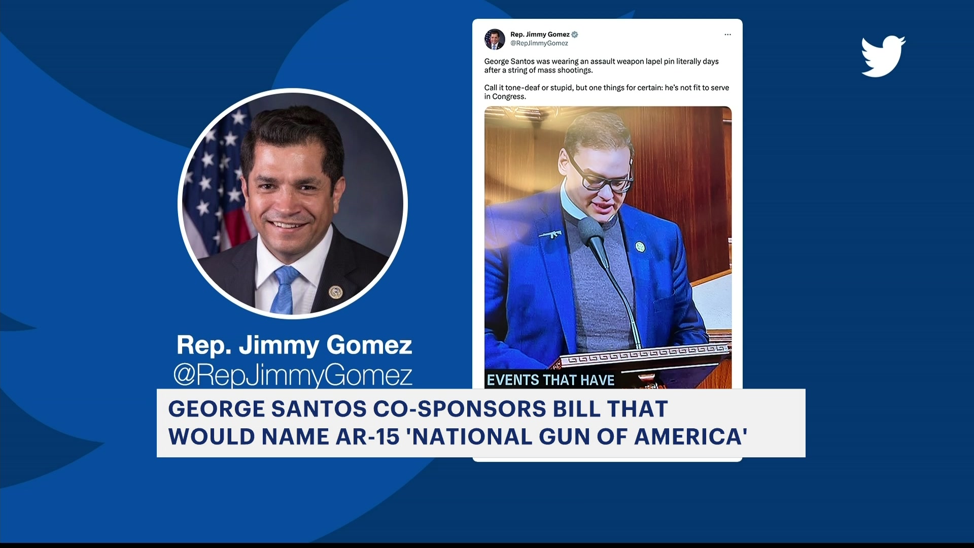 News 12 | Long Island | Rep George Santos Co Sponsors Ar 15 Bill