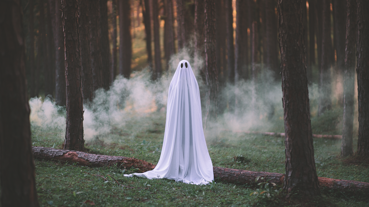 Psychology of the Paranormal